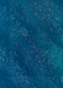 Spring Marine Group - Shipping services, Tankers, Bulk Carriers